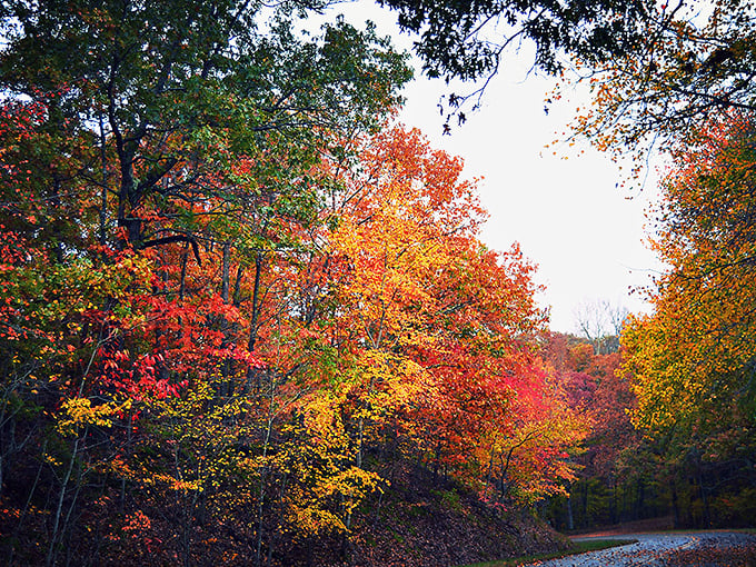 Kentucky Lake's marinas offer boaters a perfect home base for exploring the water, with amenities that make even landlubbers consider buying a captain's hat. 