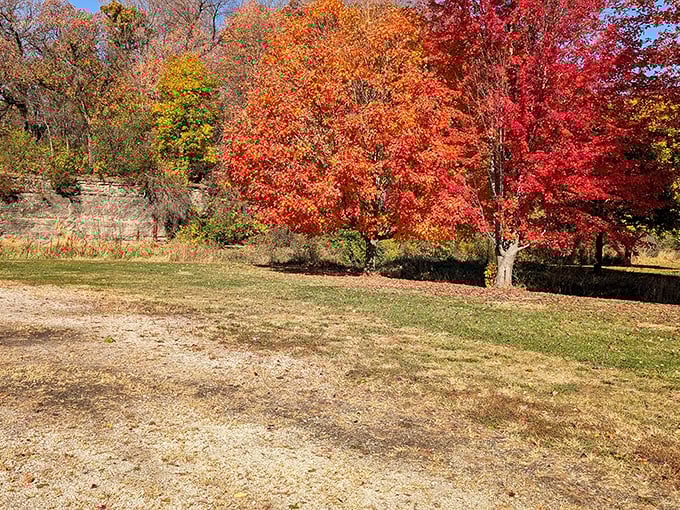 Fall foliage in northwestern Illinois doesn't just change color&mdash;it erupts in a symphony of reds and golds against limestone backdrops.