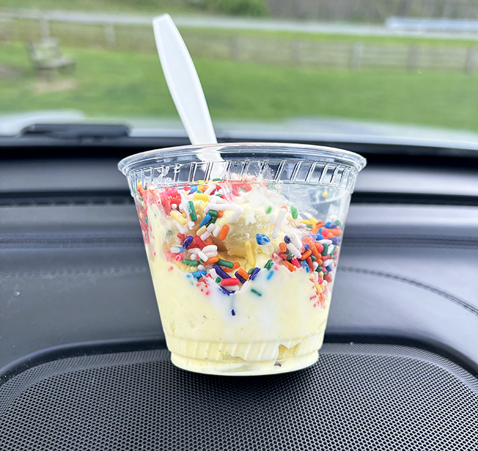 Sunshine in a cup. Yellow ice cream dotted with rainbow sprinkles creates the kind of joy even rainy days can't dampen.