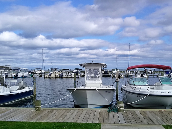Bellport's marina isn't about mega-yachts and showing off – it's a practical harbor where boats actually get used rather than just admired.