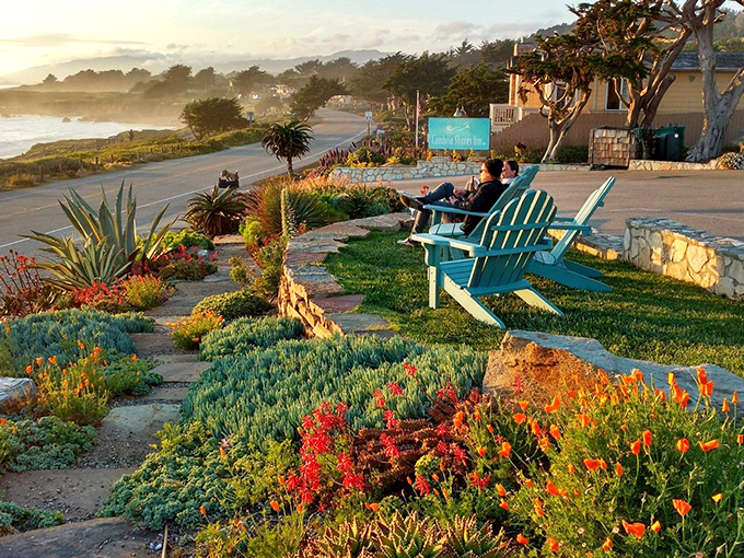 Sunset gardens at ocean's edge&mdash;where California poppies and succulents create a living tapestry that rivals the sea for attention.