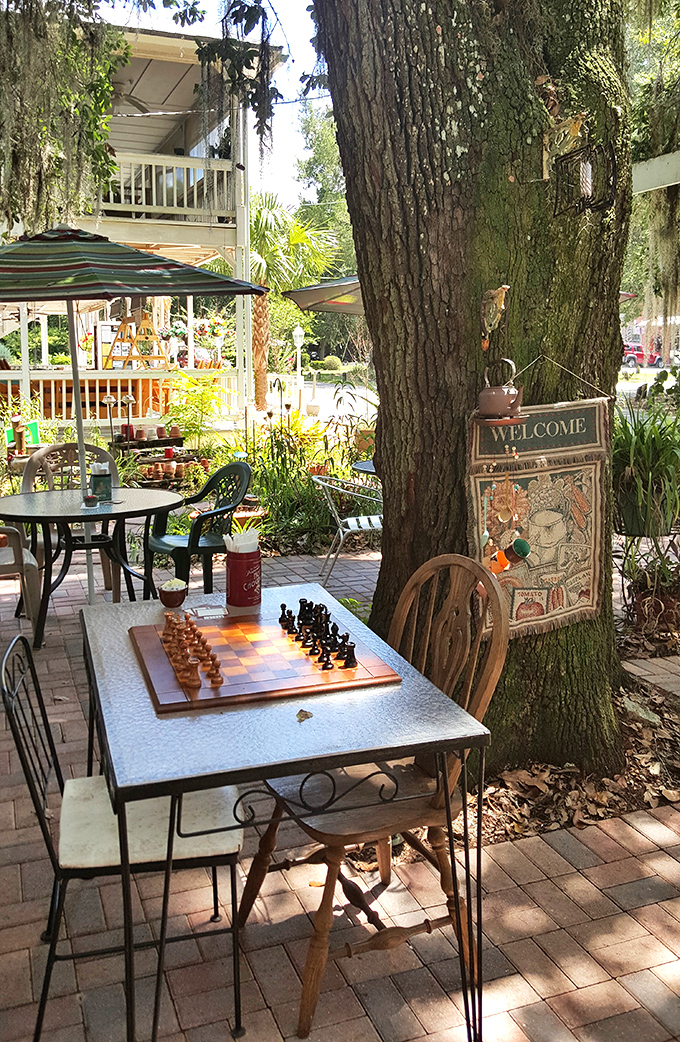 Chess under the oaks—where meals stretch into afternoons and strangers become friends over friendly competition.
