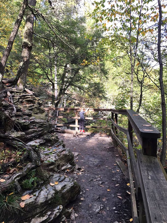 Young explorers discover that Pennsylvania's natural wonders create memories lasting far beyond any screen time.