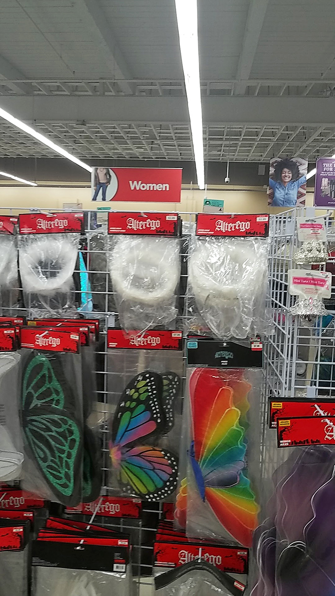 Fantasy accessories that prove butterfly wings and rainbow capes aren't just for kids. Halloween comes every day at Savers.
