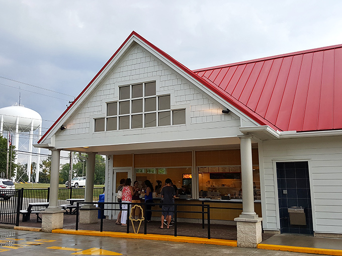 The service counter—where dreams are scooped, sprinkled, and handed over with a smile that says, "Yes, this is going to be good."