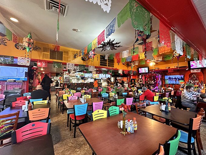A rainbow explosion of chairs and festive decorations creates the perfect backdrop for serious eating and not-so-serious conversation.