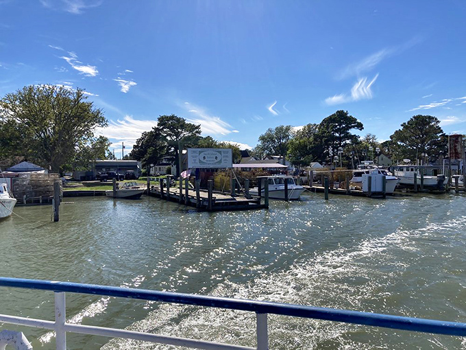 The view from the ferry reveals Smith Island's watery embrace, where docks and workboats remind visitors that this sweet destination remains a working watermen's community.