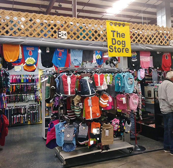 "The Dog Store"&mdash;because your four-legged family member deserves their own shopping spree. Canine couture for the discerning doggy fashionista.