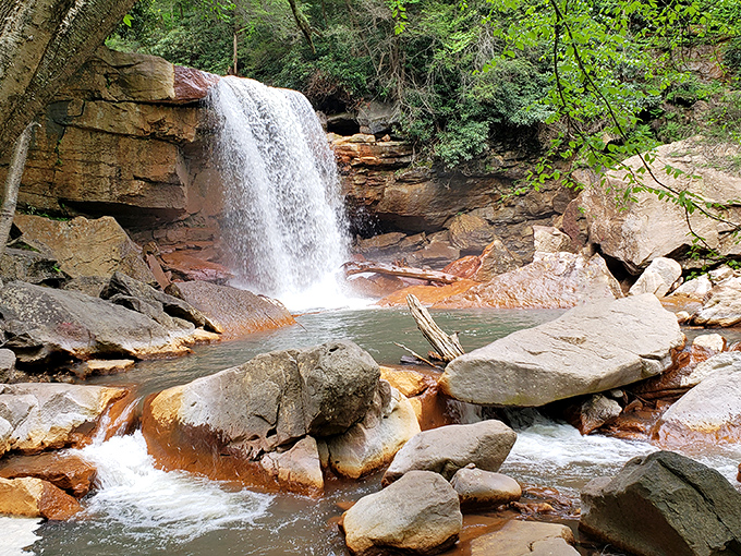 Douglas Falls cascades over ancient stone, creating a natural soundtrack that no meditation app could ever hope to replicate.