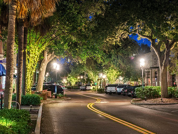 Downtown Fernandina after dark transforms into a magical corridor where Spanish moss and string lights create nature's most perfect mood lighting.