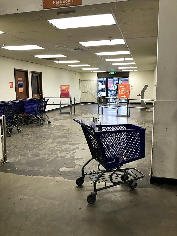 The entrance: where empty carts wait patiently for their chance to be filled with possibilities, bargains, and the occasional inexplicable purchase. 
