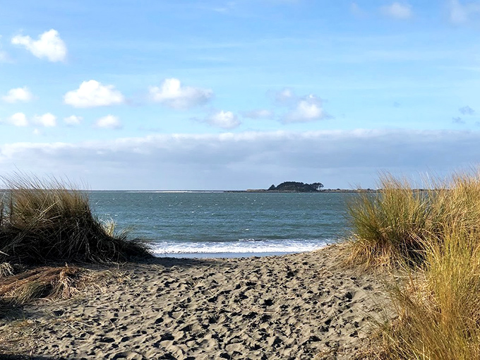 Where sand meets sea along Eureka's coastline, creating the perfect backdrop for contemplative walks and impromptu shell collections.