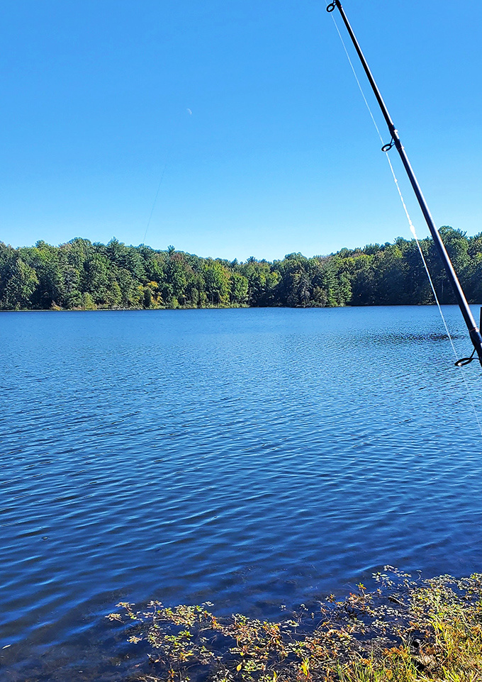 A fishing rod stands at attention against the perfect blue backdrop, proving that sometimes the best therapy costs only the price of a fishing license.