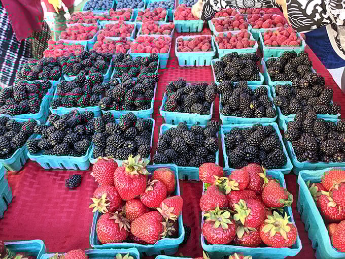 Berry season hits the market like a sweet explosion, with blackberries and strawberries nestled in their blue baskets like edible jewels.