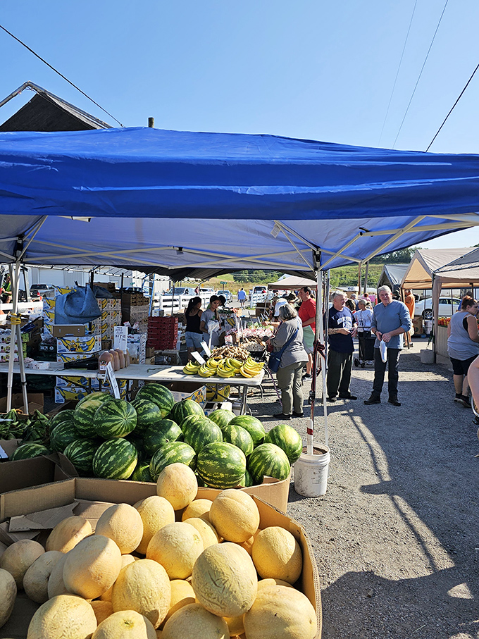 Nature's candy in convenient carrying cases! Fresh melons and watermelons promise juicy refreshment—the perfect shopping companion on warm market days.