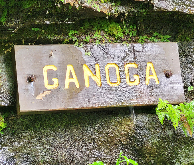 The simple wooden sign marking Ganoga Falls has weathered countless seasons &ndash; a humble herald for one of Pennsylvania's most magnificent natural wonders.