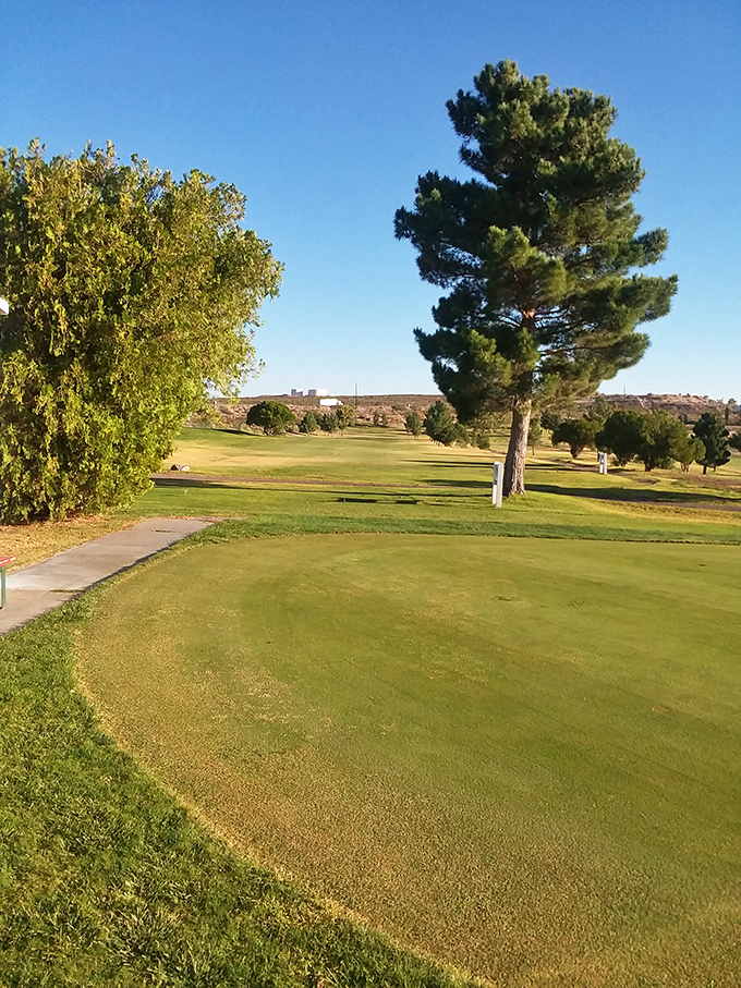 Desert golf takes on new meaning with these emerald fairways cutting through the arid landscape – water conservation meets recreation in perfect harmony.