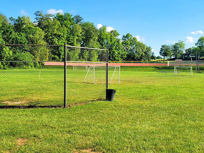 Local sports fields provide entertainment for generations of families, proving that in Bellefonte, community fun doesn't require a second mortgage.