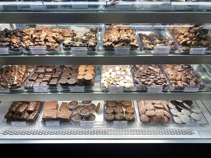 Handcrafted chocolates glisten behind glass like jewels in a museum case, each one a masterpiece of cocoa artistry waiting to be claimed.