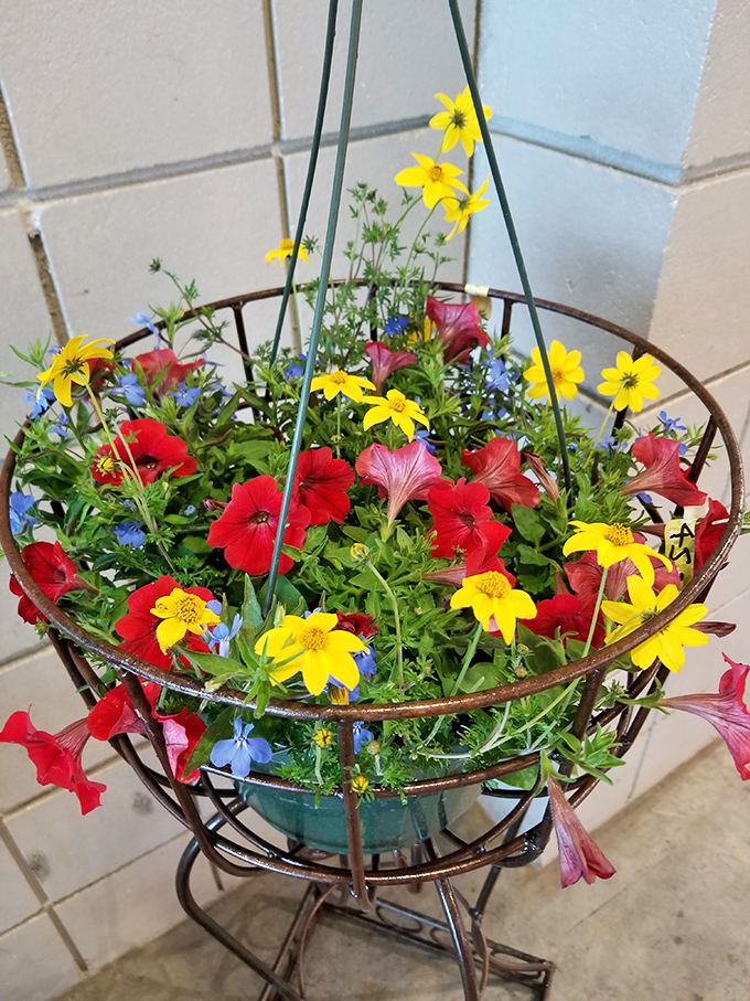 Garden art with personality! This hanging basket bursts with colorful defiance against Oklahoma's sometimes challenging growing conditions.