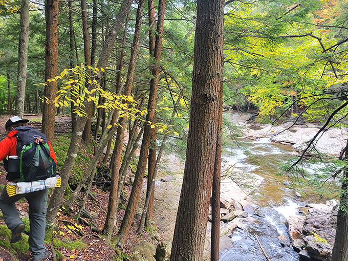 The best views are earned through effort. This hiker pauses to appreciate Loyalsock Creek's handiwork&mdash;a canyon carved with patience over millennia.