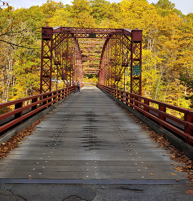 Bardwell's Ferry Bridge stretches toward autumn glory, a rusty-red pathway that seems to lead directly into a golden forest cathedral.