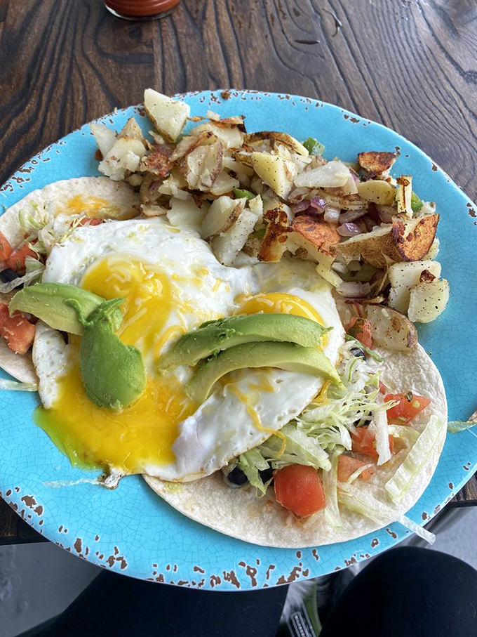 Breakfast tacos that blur the line between morning meal and religious experience. Those sunny-side-up eggs with perfectly runny yolks deserve their own Instagram account. 