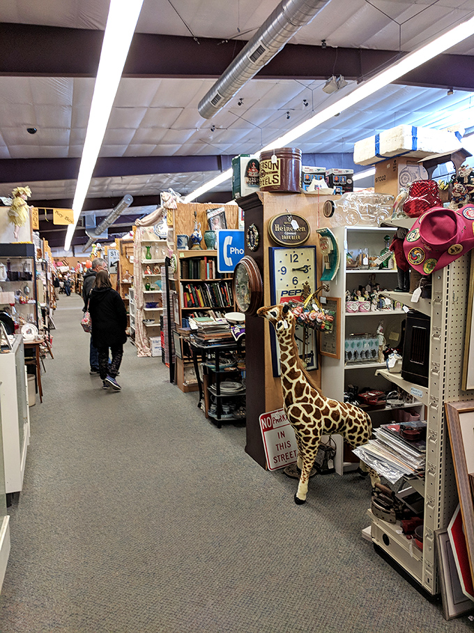 Browsing these aisles is like walking through America's collective memory. That giraffe statue is exactly what your living room has been missing all these years.