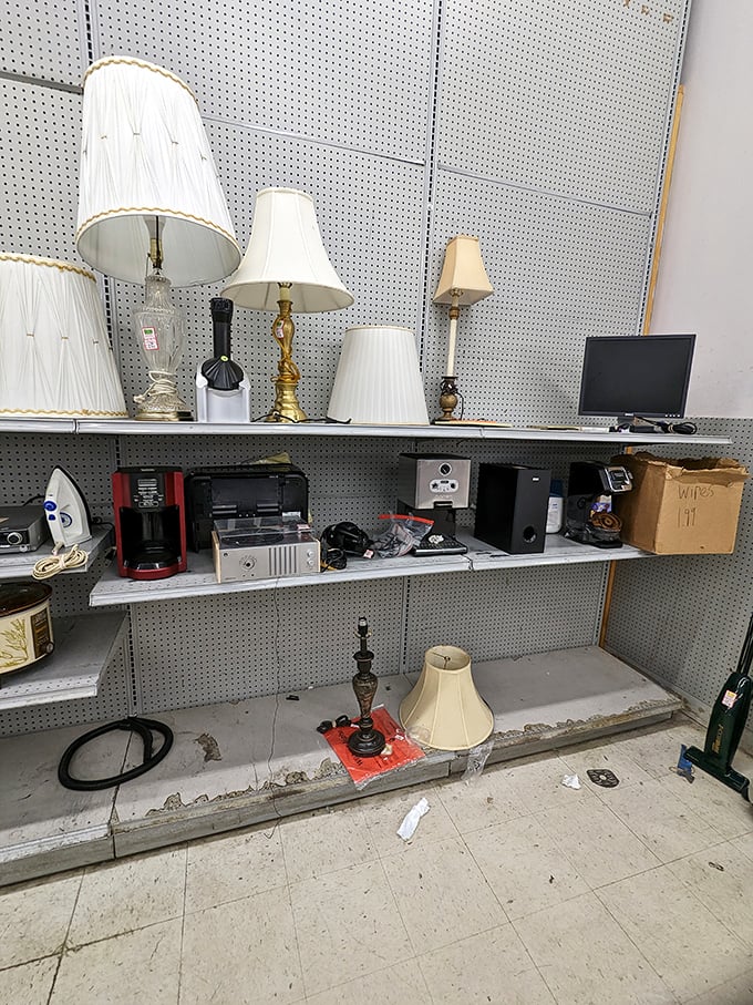 The lamp section illuminates decades of design evolution. From mid-century modern to 90s chic, every lighting trend eventually makes its way here.