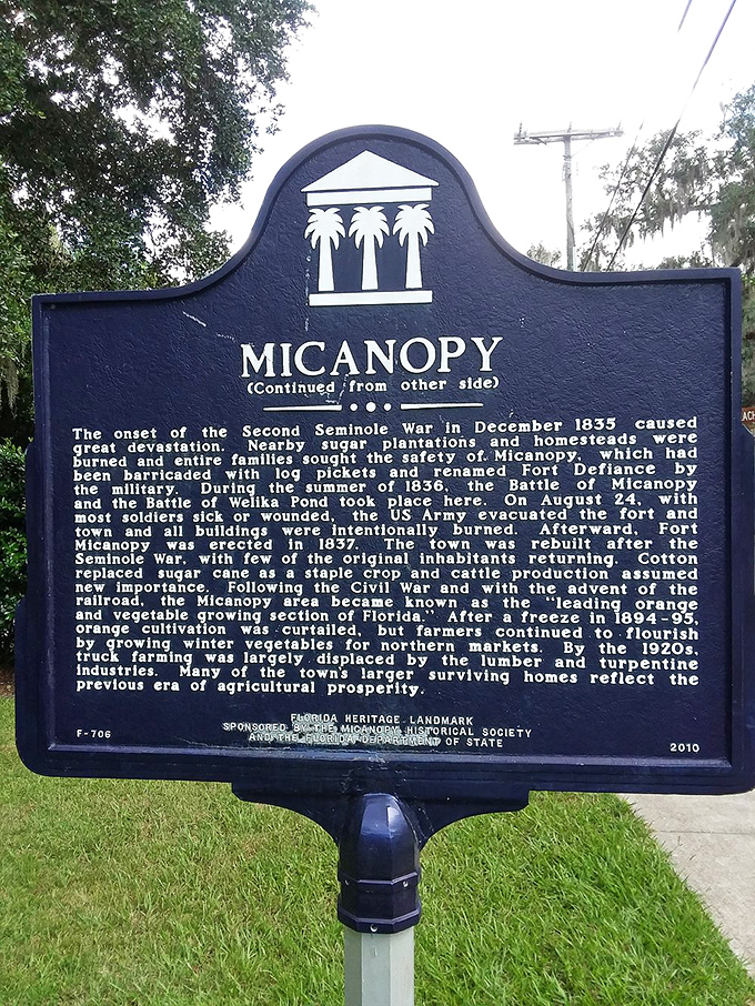 The second half of Micanopy's historical marker reveals a town that's survived wars, freezes, and economic shifts – yet still maintains its unflappable character.