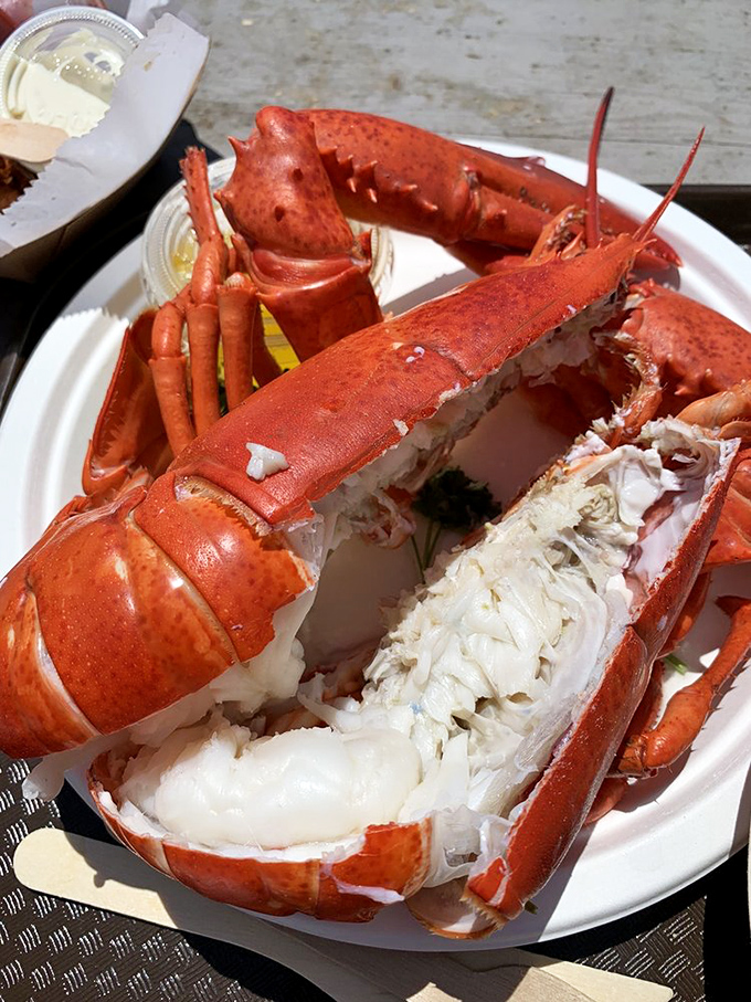 This isn't just lobster&mdash;it's a crustacean celebration on a paper plate. The kind of seafood that makes you forget table manners exist.