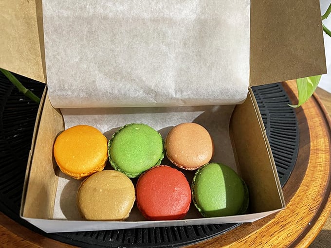 Macarons lined up like colorful soldiers ready for duty. These aren't cookies &ndash; they're tiny French ambassadors of joy.