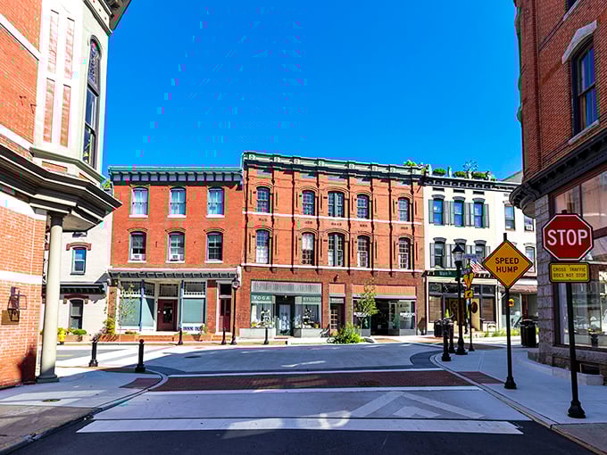 Historic storefronts frame Salisbury's walkable downtown, where window shopping becomes an actual pastime rather than a consolation prize.