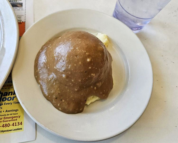 Mashed potatoes so smothered in gravy they're practically swimming lessons. This isn't just a side dish; it's a destination.