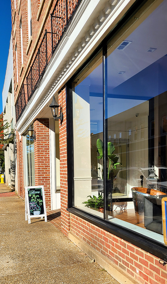 Sunlight plays across this inviting storefront window, where plants and thoughtful design create an atmosphere of small-town sophistication.