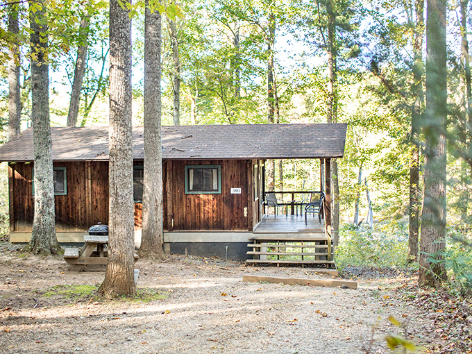 This rustic cabin nestled among towering trees offers the woodland retreat you've been dreaming about since your last marathon Zoom meeting.