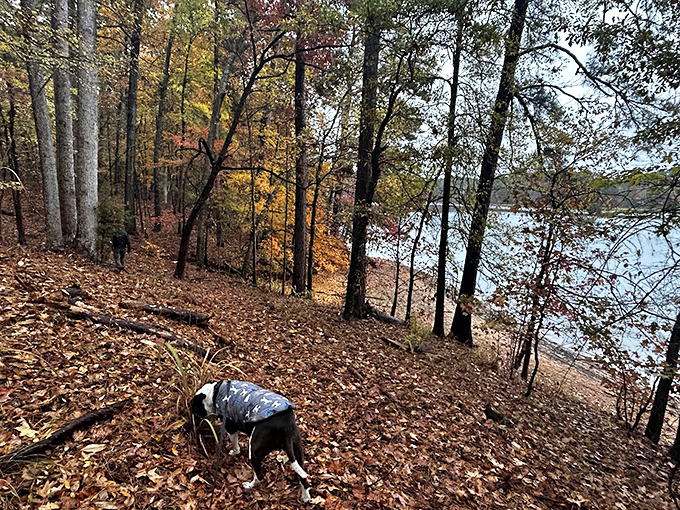 Four-legged explorers find paradise on Baker Creek's nature trails, where every leaf, stick and shoreline scent tells a fascinating story.