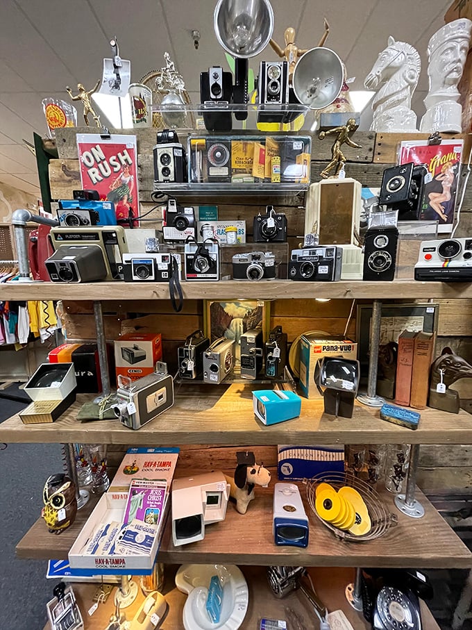 Camera collection that would make any Instagram influencer weep with vintage envy. Each one captured someone's precious memories before "selfie" was a word. 