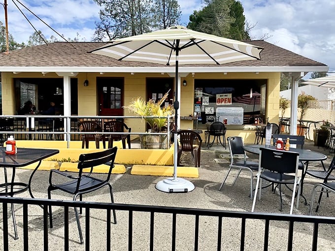 The outdoor patio at Katrina's&mdash;where fresh air and fresh coffee create the perfect morning alchemy under California's generous sky.