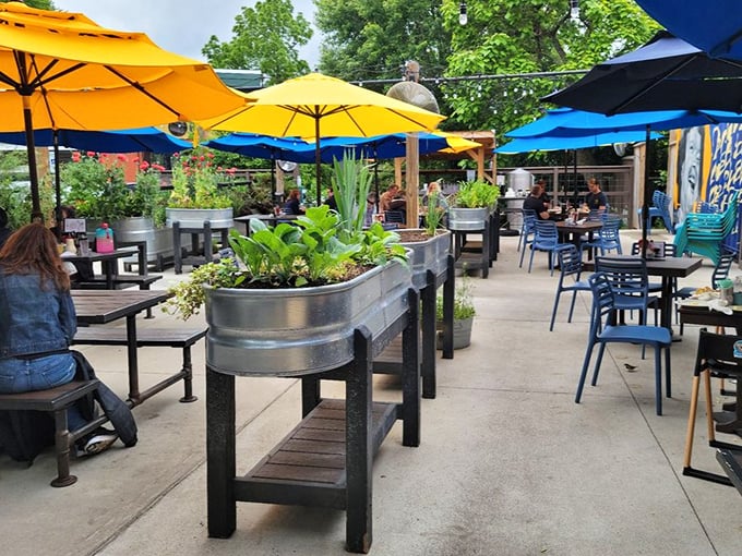Garden-to-table isn't just a catchphrase here &ndash; those planters aren't decorative, they're the restaurant's pantry growing in real time.