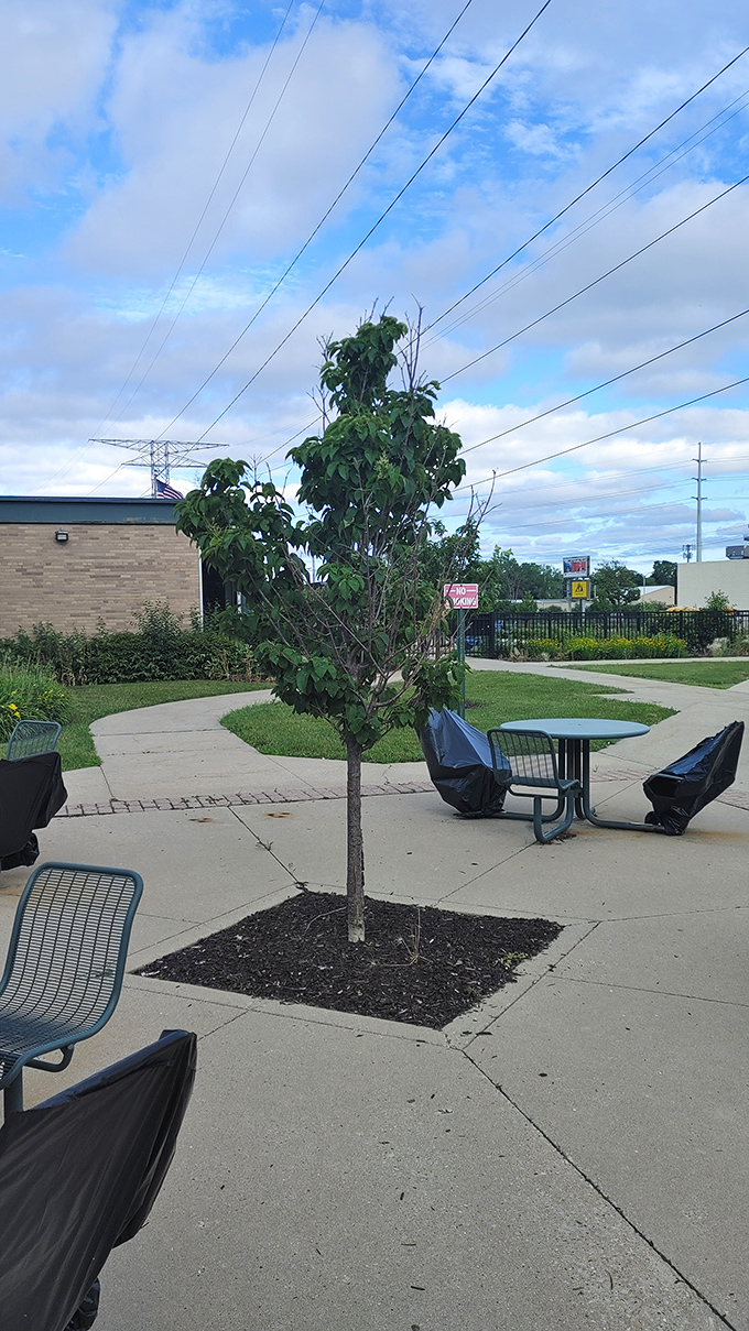 Even the outdoor seating area offers a moment of reflection. After the thrill of the hunt, catch your breath before hauling treasures to your car.