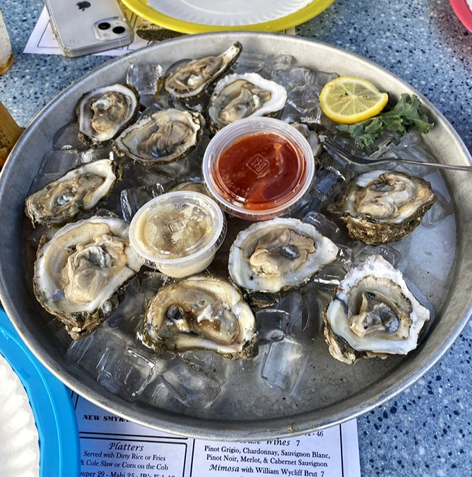 Oysters on ice &ndash; nature's perfect appetizer with just a squeeze of lemon and a dash of adventure.