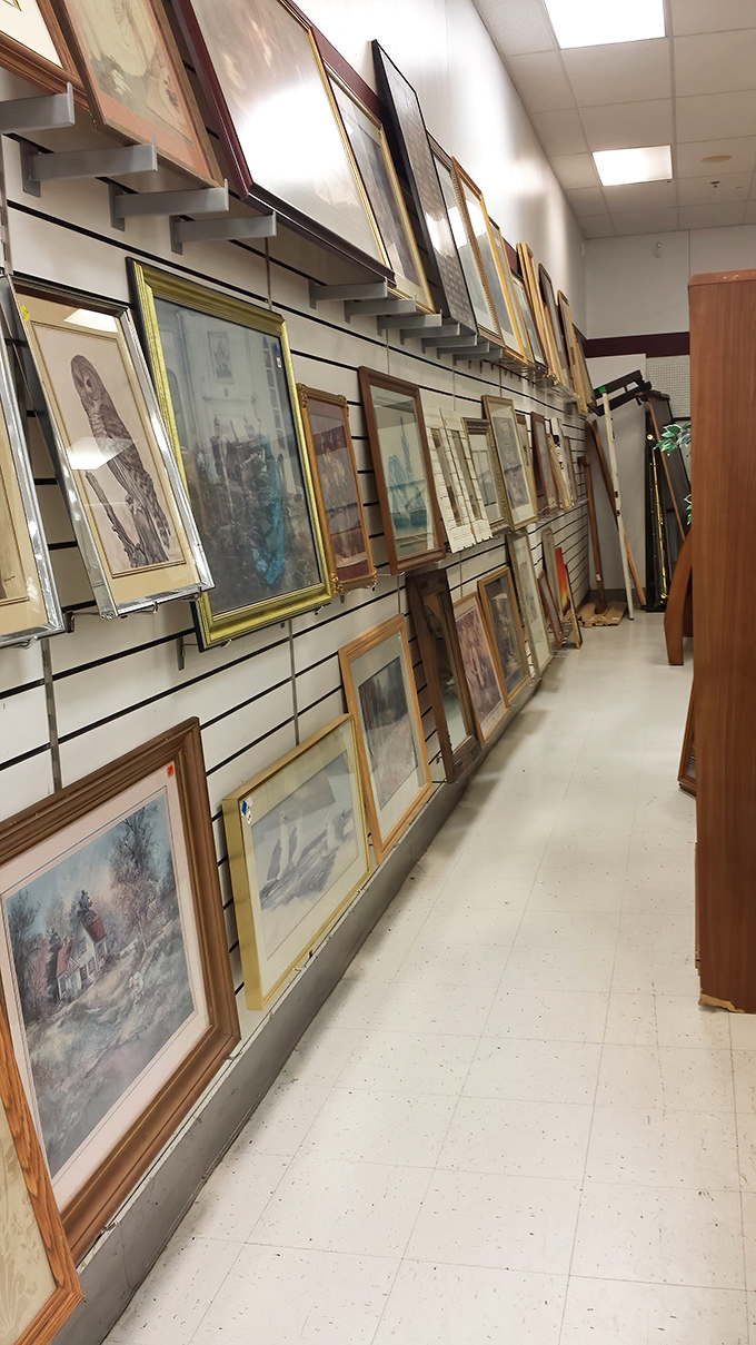 The art section: where someone's abandoned landscape painting becomes your conversation piece, complete with a backstory you're free to invent.