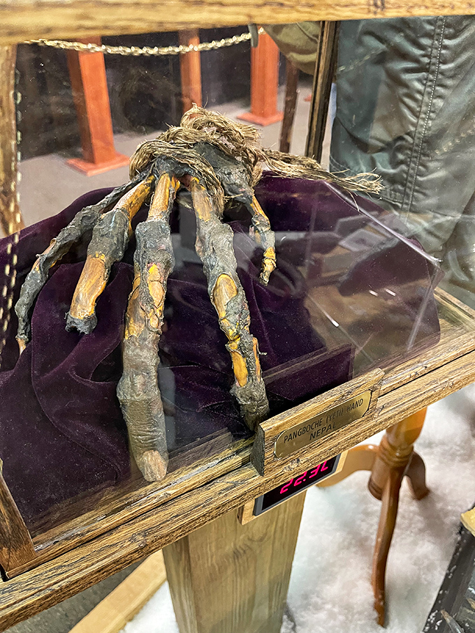The mysterious Pangboche Hand exhibit showcases what's presented as unusual anatomical evidence, fueling speculation about unknown primates among serious researchers.