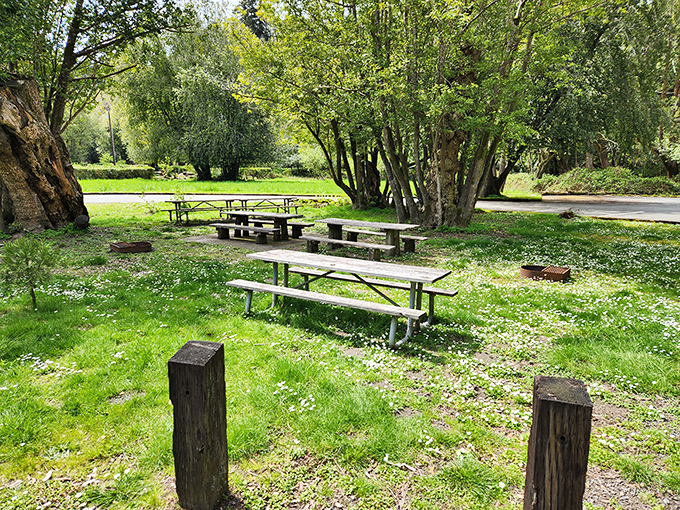 Picnic spots positioned perfectly for meals that taste better when seasoned with fresh air.