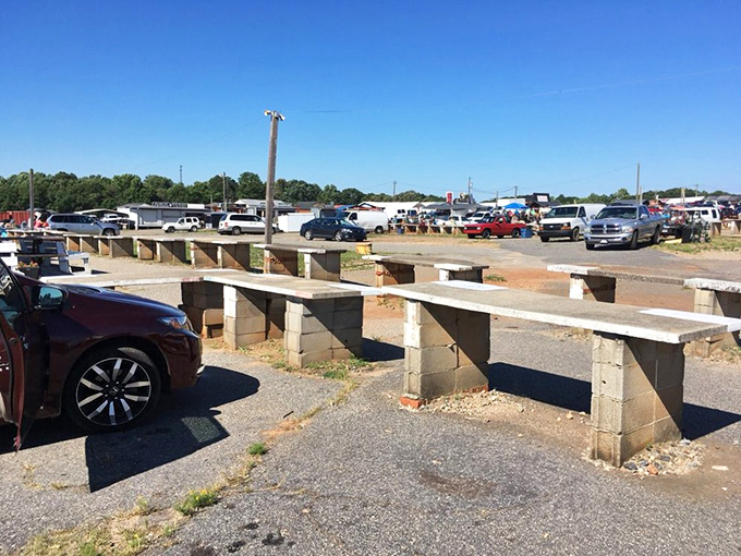 The improvised parking system speaks to the Jockey Lot's practical ingenuity&mdash;these concrete barriers have probably guided weekend shoppers for decades without a single complaint.