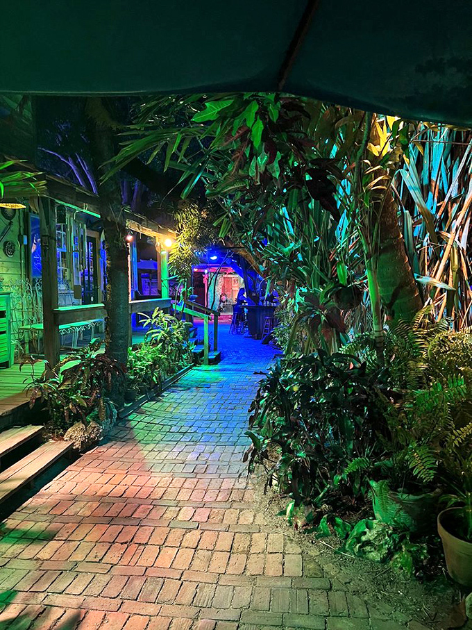 Night transforms the pathways into an enchanted garden, with blue lights guiding you through palm fronds like something from a tropical fairy tale.