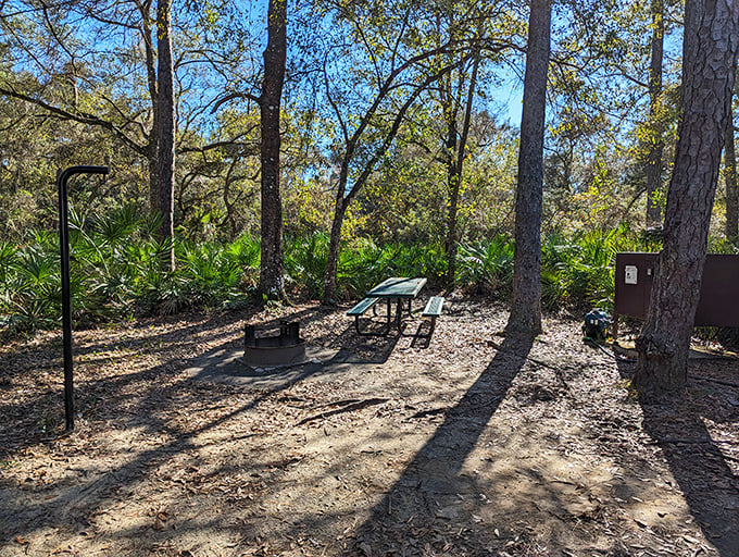 Picnic perfection: where lunch comes with a side of dappled sunlight and the soundtrack of rustling palms.