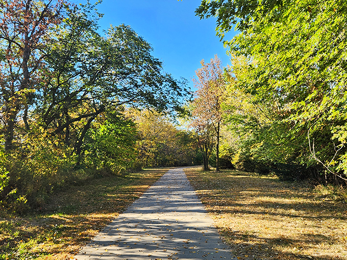 Autumn paints Plum Creek Park in golden hues, creating a walking path that makes you forget about step counts and remember why you love the outdoors.