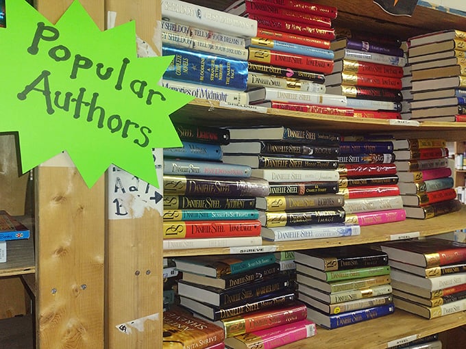 Popular authors stacked like literary pancakes. Danielle Steel's entire career available for less than the cost of a fancy coffee drink.